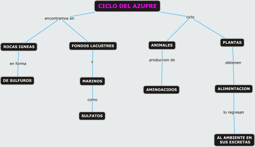 Actividad 12. Ciclo del Azufre